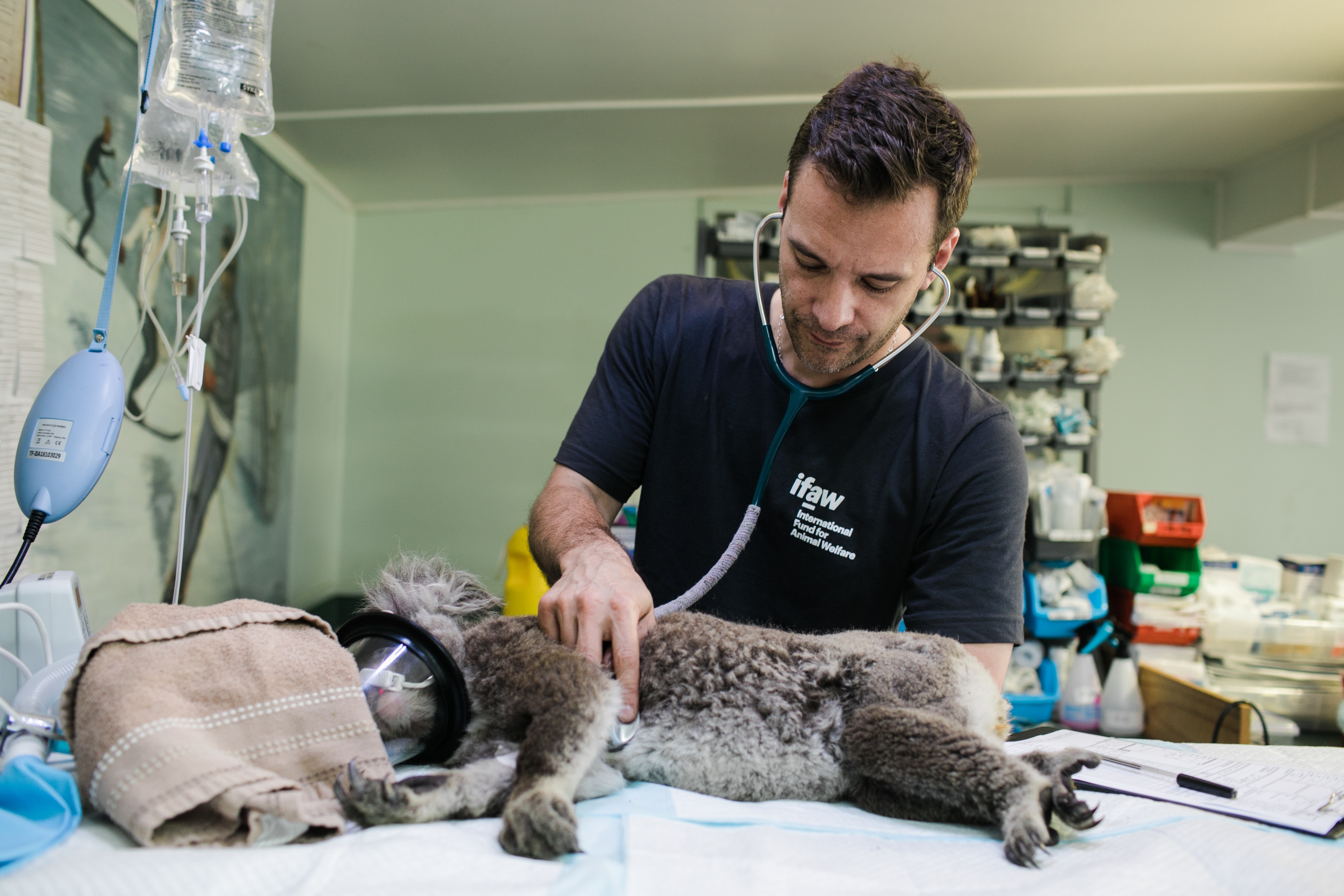 how-long-does-it-take-to-become-a-veterinarian-inspira-advantage